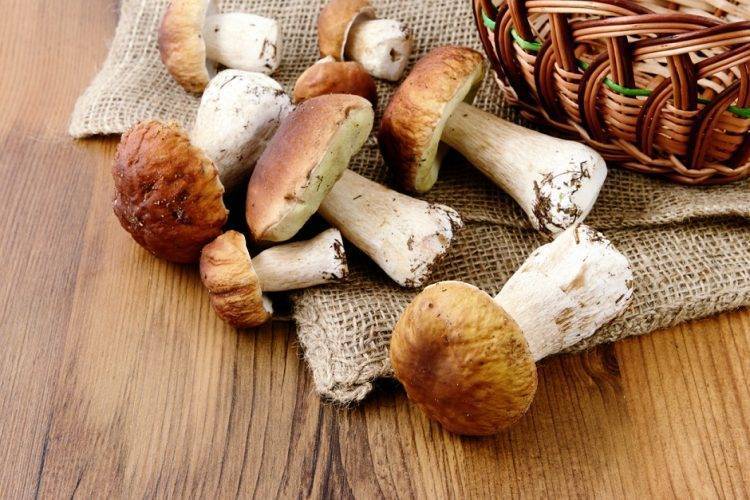 Penne alla francescana dal sapore deciso dei funghi porcini una vera bontà