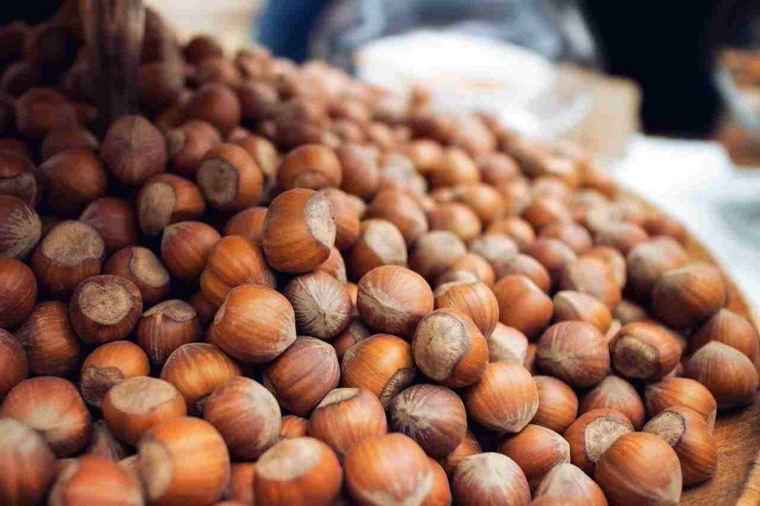 Nocciole proprietà | i loro tanti benefici e gli effetti collaterali