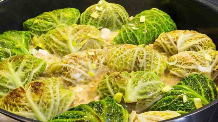 Involtini di verza, il gusto senza rinunciare alla linea - RicettaSprint.it