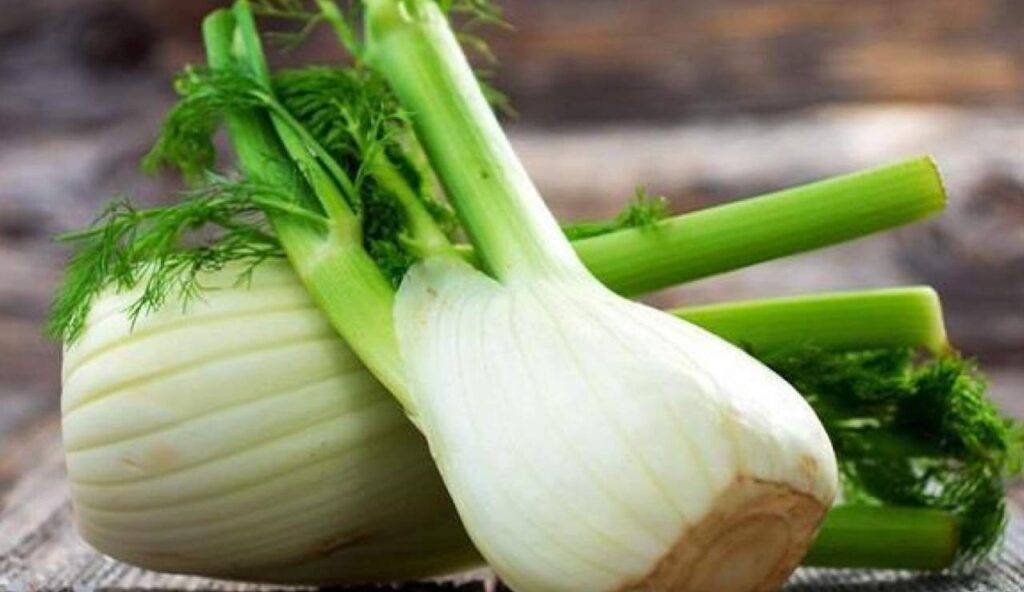 Finocchio proprietà e benefici | Migliori ricette da gustare