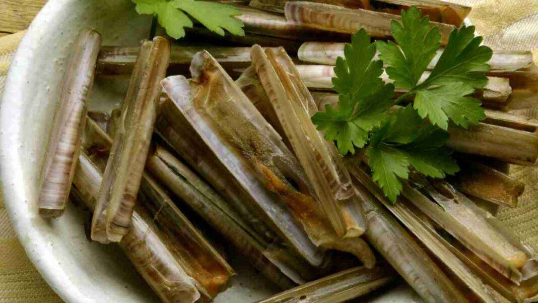 Cannolicchi grigliati ricetta preparazione ingredienti