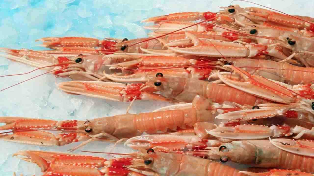 Come riconoscere scampi freschi, i consigli infallibili per fare centro