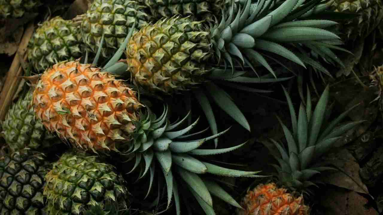Ananas maturo | come fare per riconoscerlo e portare a casa il più saporito