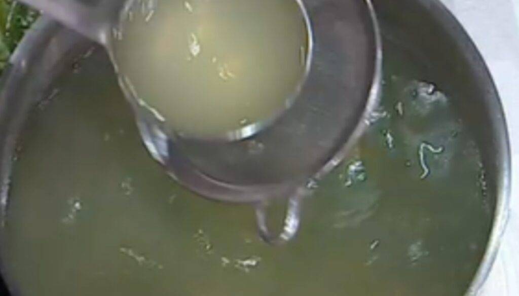 Brodo di pesce | Ricetta riciclo veloce e facile - RicettaSprint.it