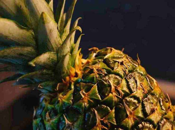 Bocconcini mascarpone e ananas, un dessert invitante e veloce da ...