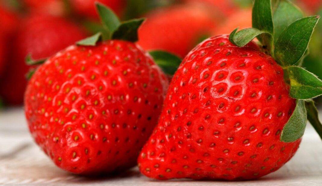 Hai delle fragole e vuoi fare un dolce: eccoti servito, 10 minuti ed ...