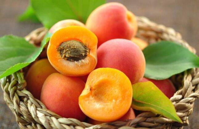 Fruttolo alle albicocche fatto in casa, cremoso e delicato perfetto per ...