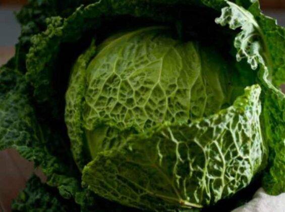 Prendi la verza e le patate e mettile in padella, aggiungi la scamorza ...