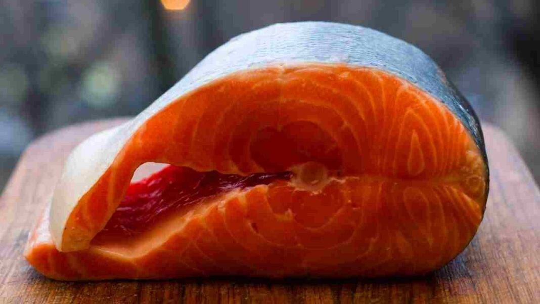 Presto sulle tavole il pesce sintetico: arriva il primo e unico ...