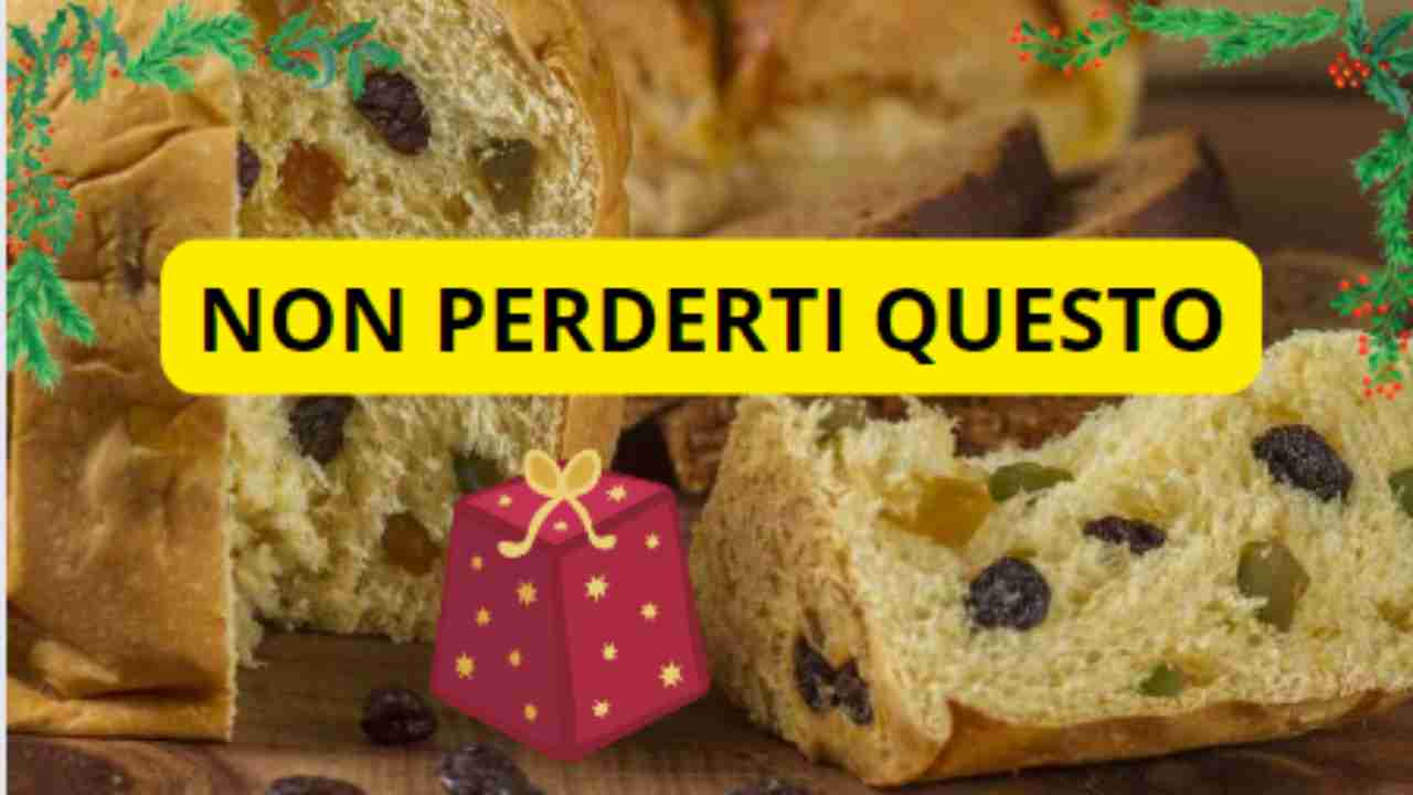 Tipi di panettone, ce ne sono tanti da provare: quali sono i migliori