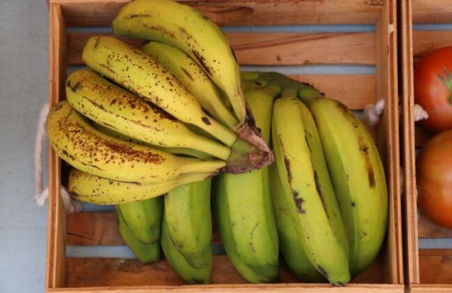 Le banane meglio mature o acerbe? Quali sono più sane? - RicettaSprint.it