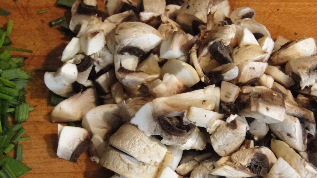 Evita che i funghi diventino neri dopo che li hai tagliati: arriva il ...