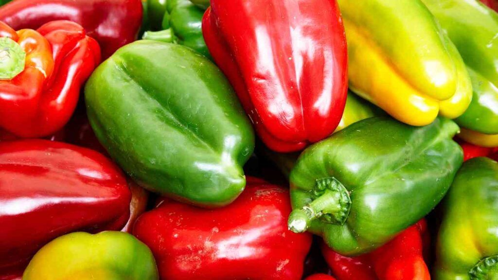 Un contorno con i fiocchi, i peperoni cotti in padella con capperi e ...