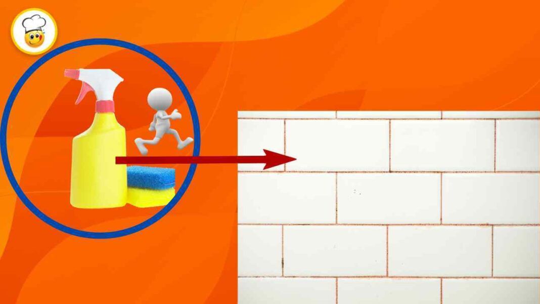 Muffa rosa in bagno e non sai come disfartene, forse non hai provato a ...