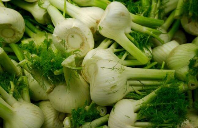 Magia in cucina: l'acqua di cottura del finocchio diventa una bevanda ...