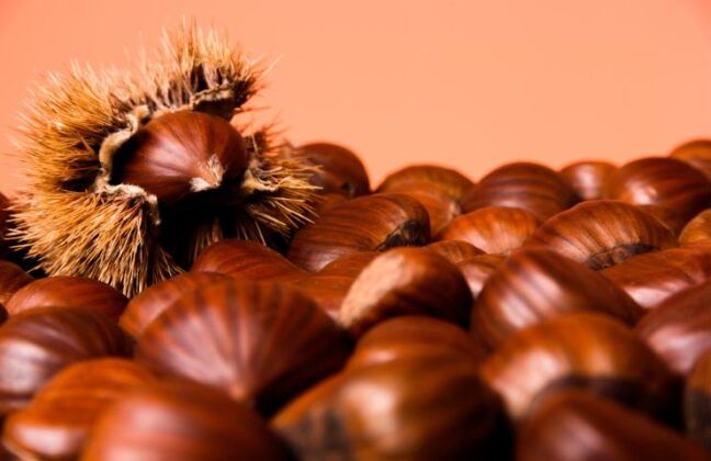 Sai distinguere le castagne buone da quelle matte? Ti spiego come fare ...