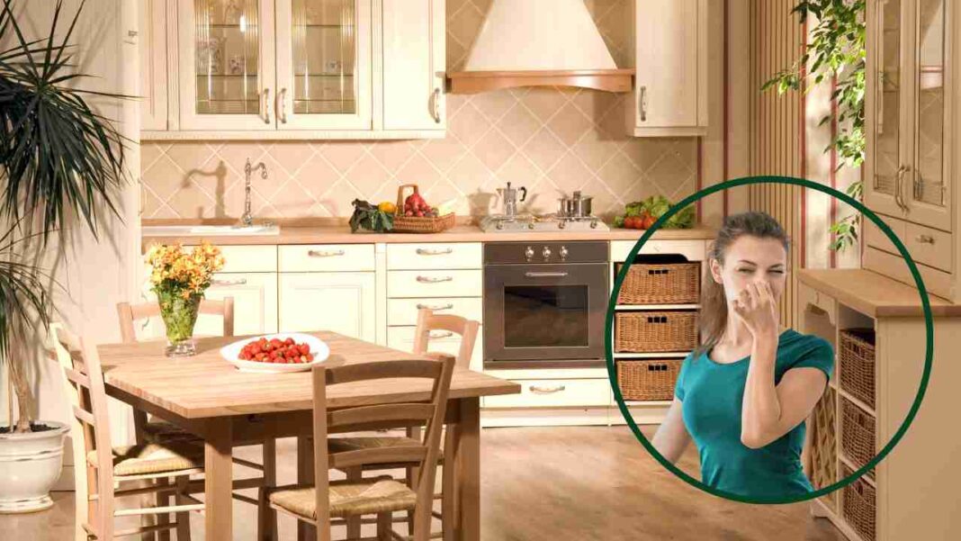 Nessun cattivo odore in cucina, ecco come dire addio alla puzza di ...