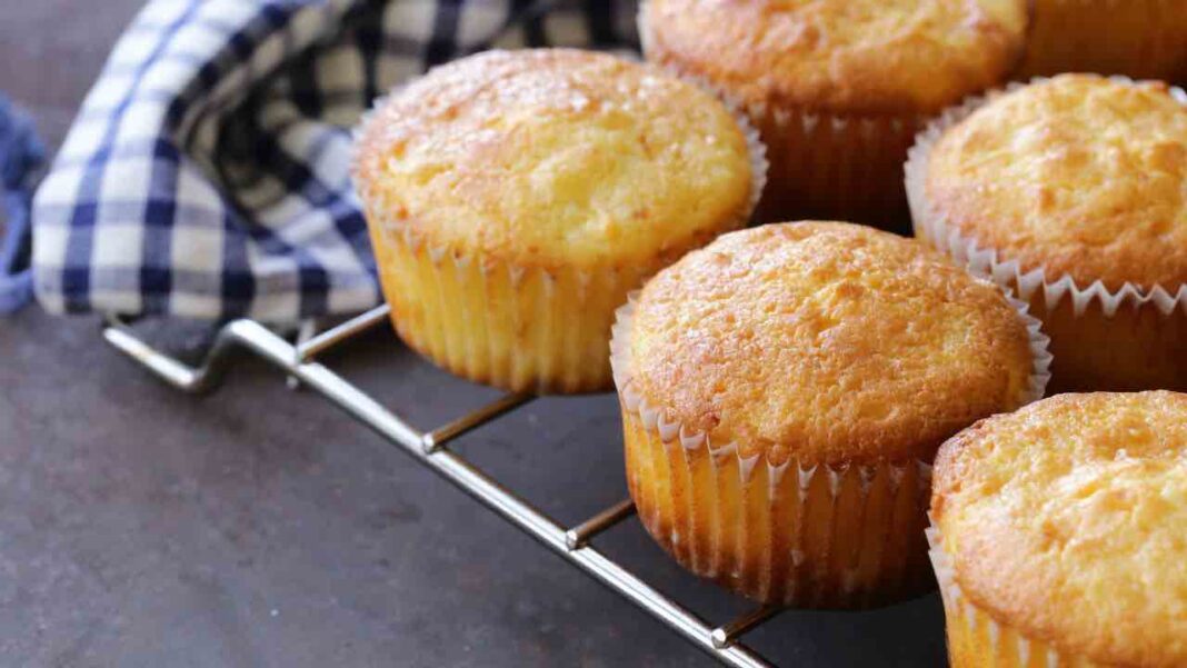 La mia colazione di oggi: le mele e yogurt, nei miei muffin ...